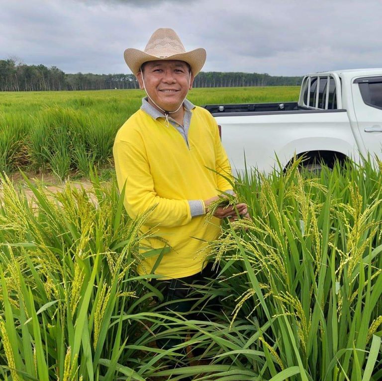 MENGUJI KEBIJAKAN HARGA GABAH PEMERINTAH Rp 6.500 Per KILOGRAM